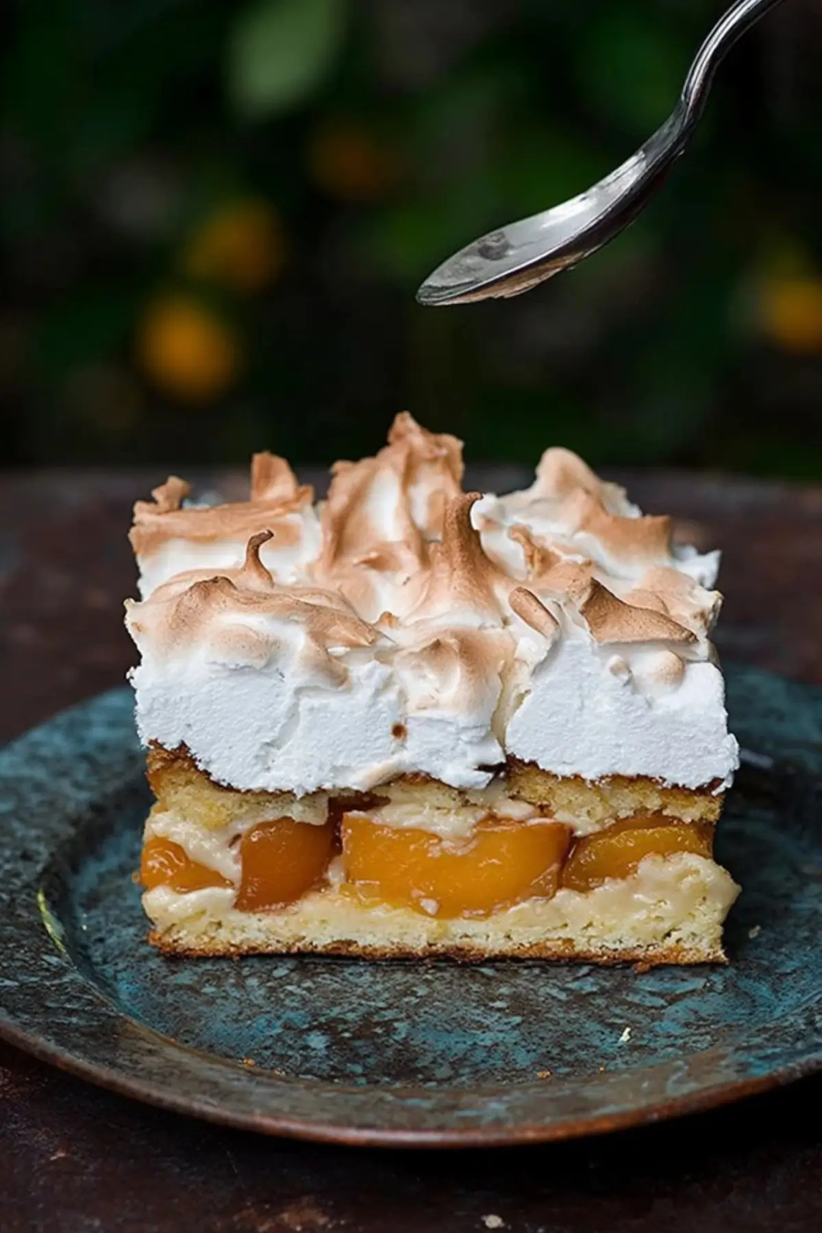 Wachauer Marillenkuchen mit knuspriger Baiserhaube – 5 einfache ...