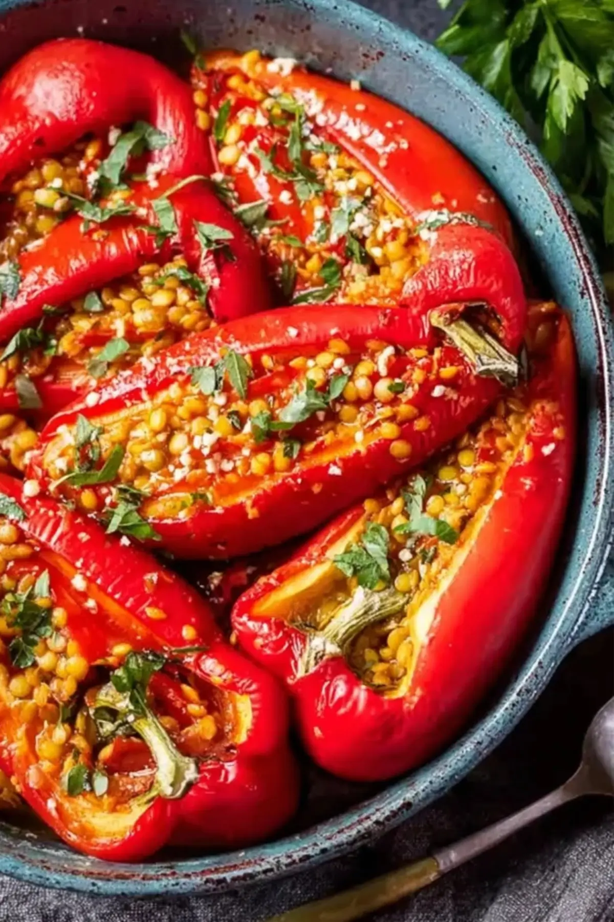 Gefüllte Paprika Mit Linsen
