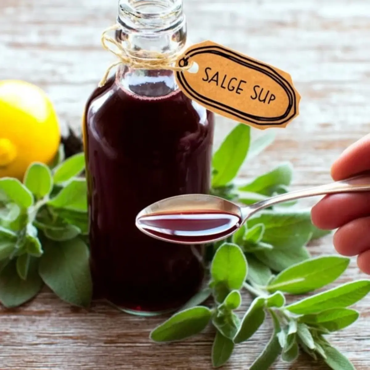 Rezept Salbei Sirup